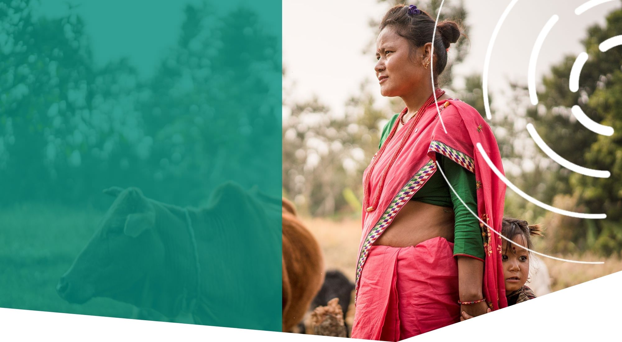 Programs – Ontario Council for International Cooperation