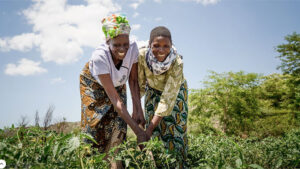 Ontario Council for International Cooperation – Welcome to OCIC