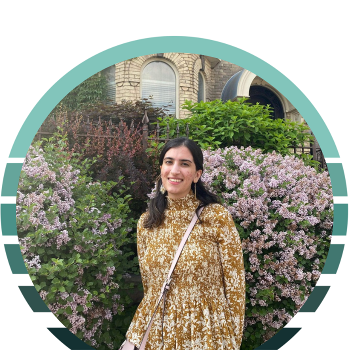 Youth Policy-Makers Hub – Ontario Council for International Cooperation